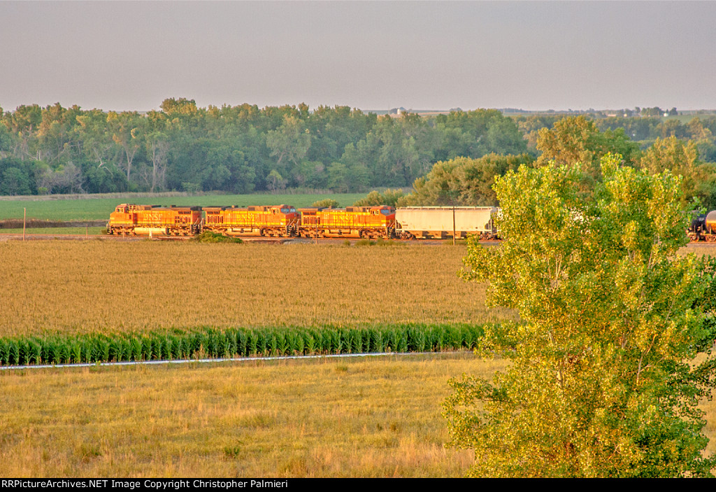 BNSF 4614 Leads X-NYFFAN7-01
